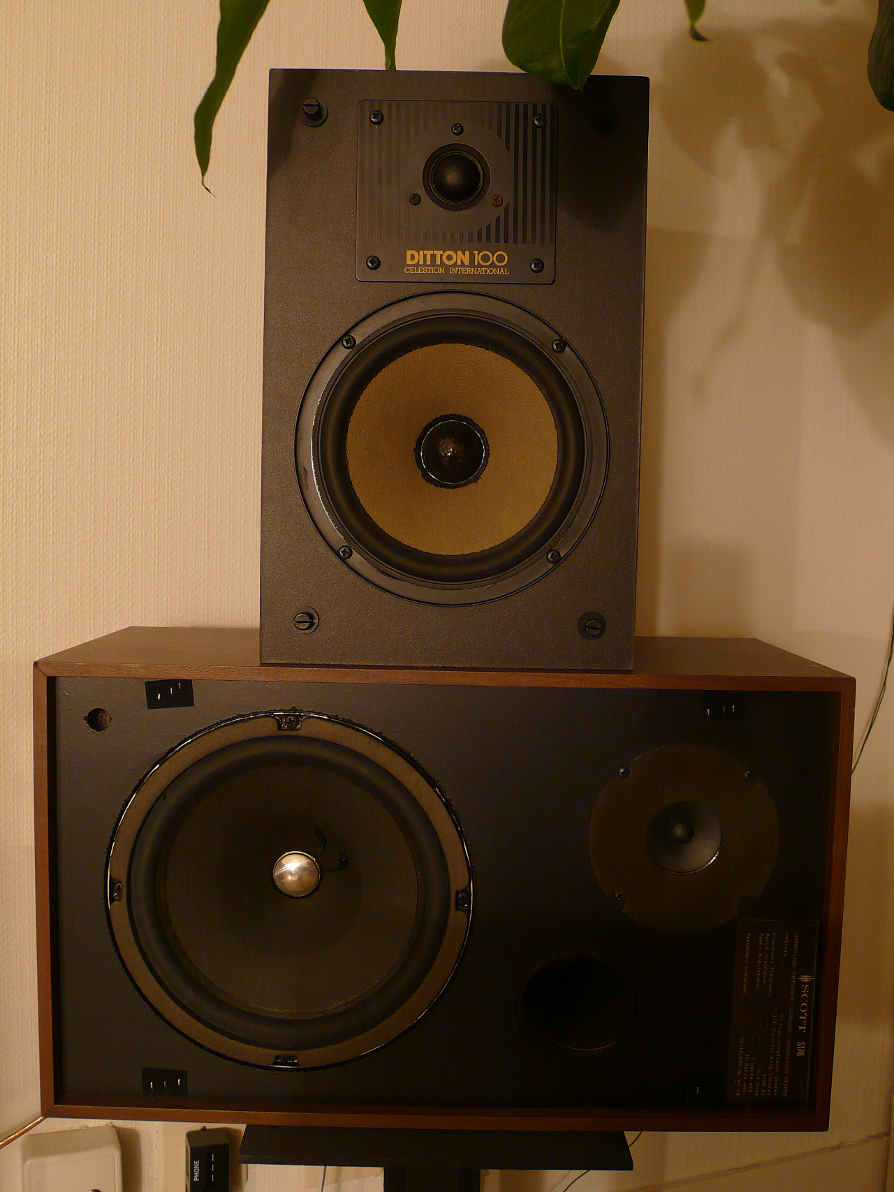 Célestion Ditton 100 - Le forum Audiovintage